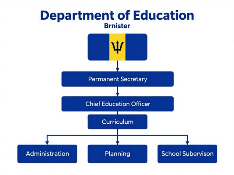 Department of Education in Barbados: Structure, Functions, and Impact ...